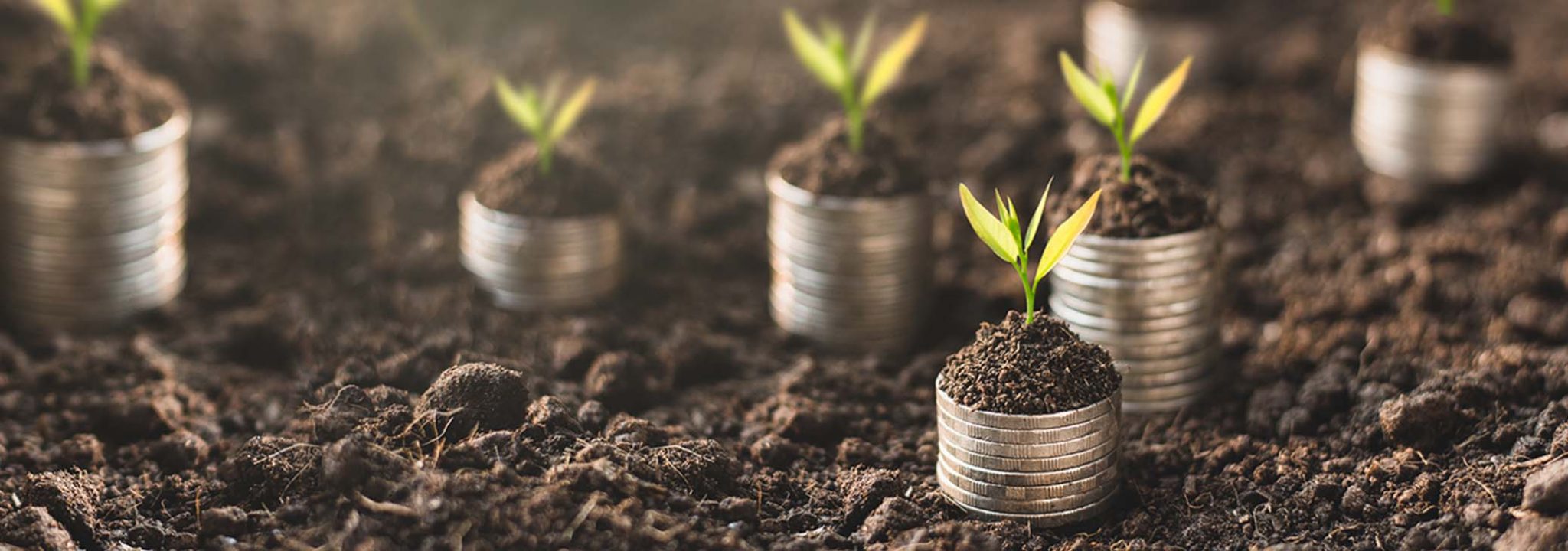 Investing Small Amounts - my529